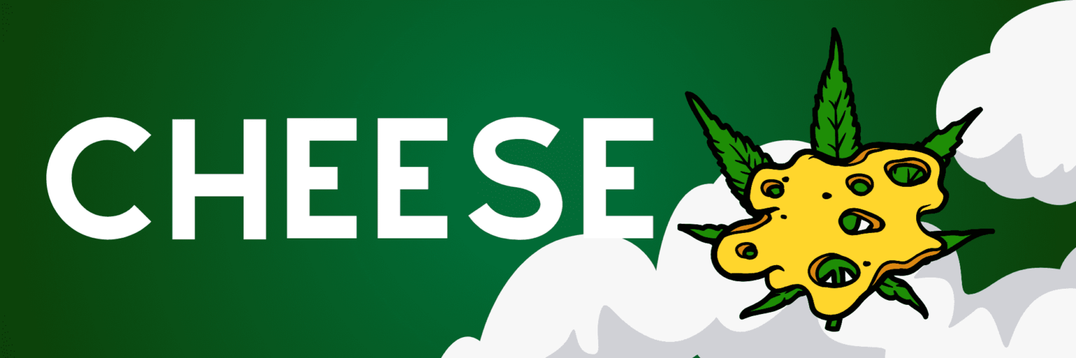 Strain information and review – Cheese | 🌿