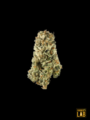 Buy Cherry Pie Autoflower Seeds | Order Cherry Pie Seeds Online