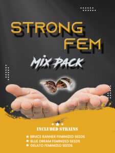 | Fast & Secure Delivery 🌿💳